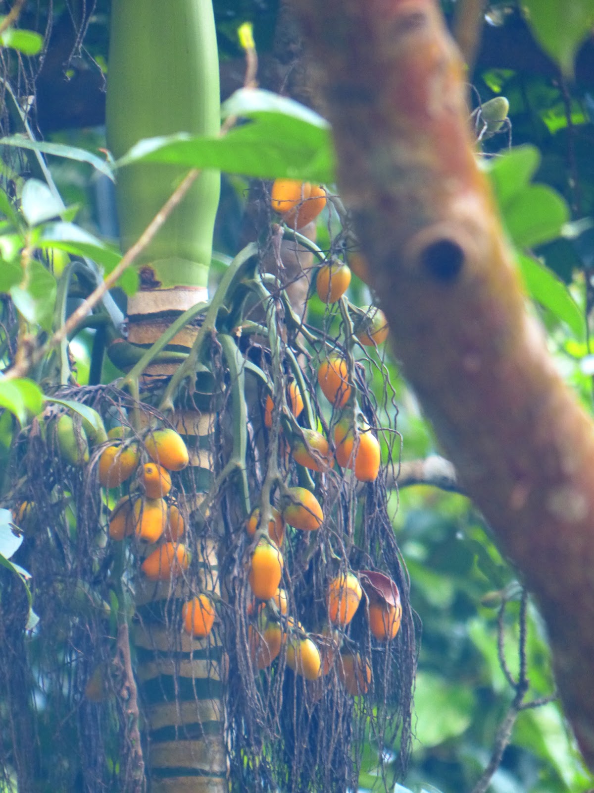 Connecting: Batanes: Week Two