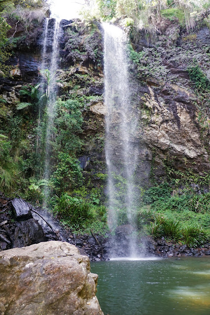 Twin Falls Circuit (Springbrook National Park) ~ The Long Way's Better
