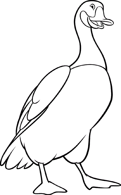 RECURSOS y ACTIVIDADES para Educación Infantil: Dibujos para colorear: OCA