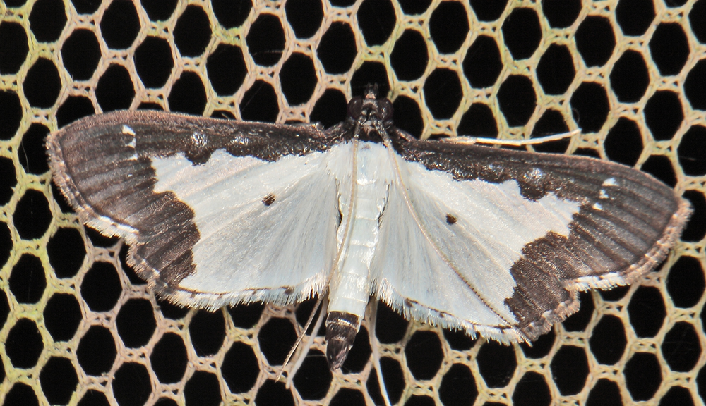 BunyipCo: September 2012