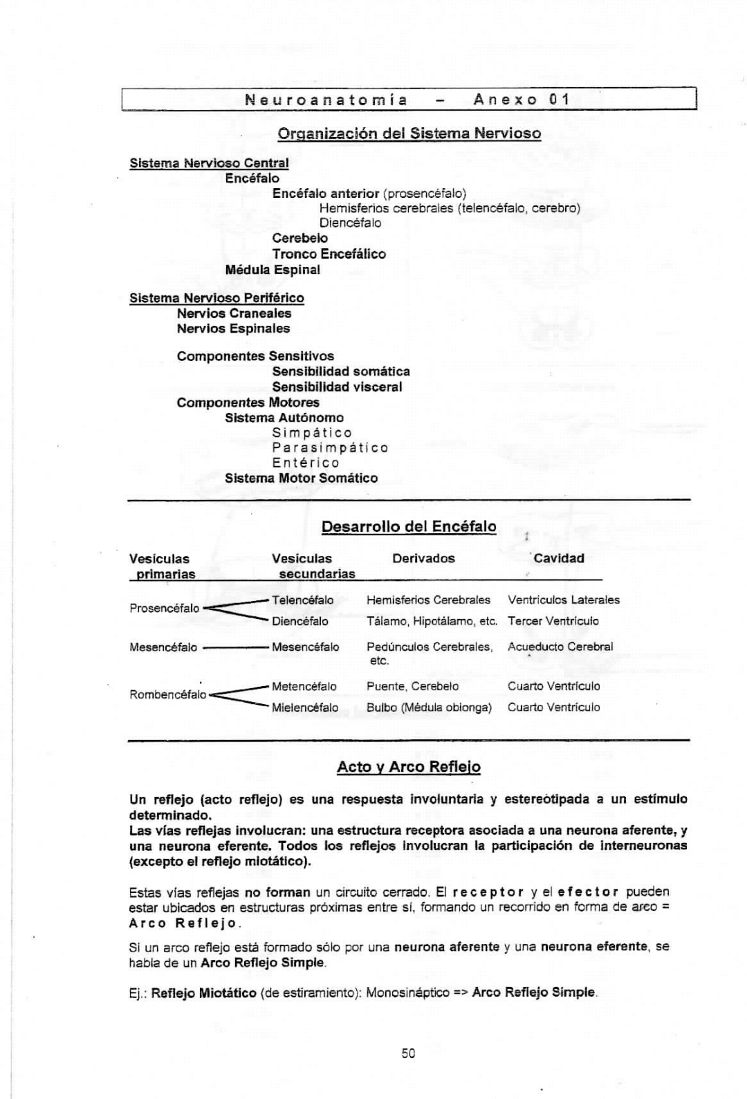 Estudiante de medicina : Apunte de neuroanatomia de Forlizzi Pro