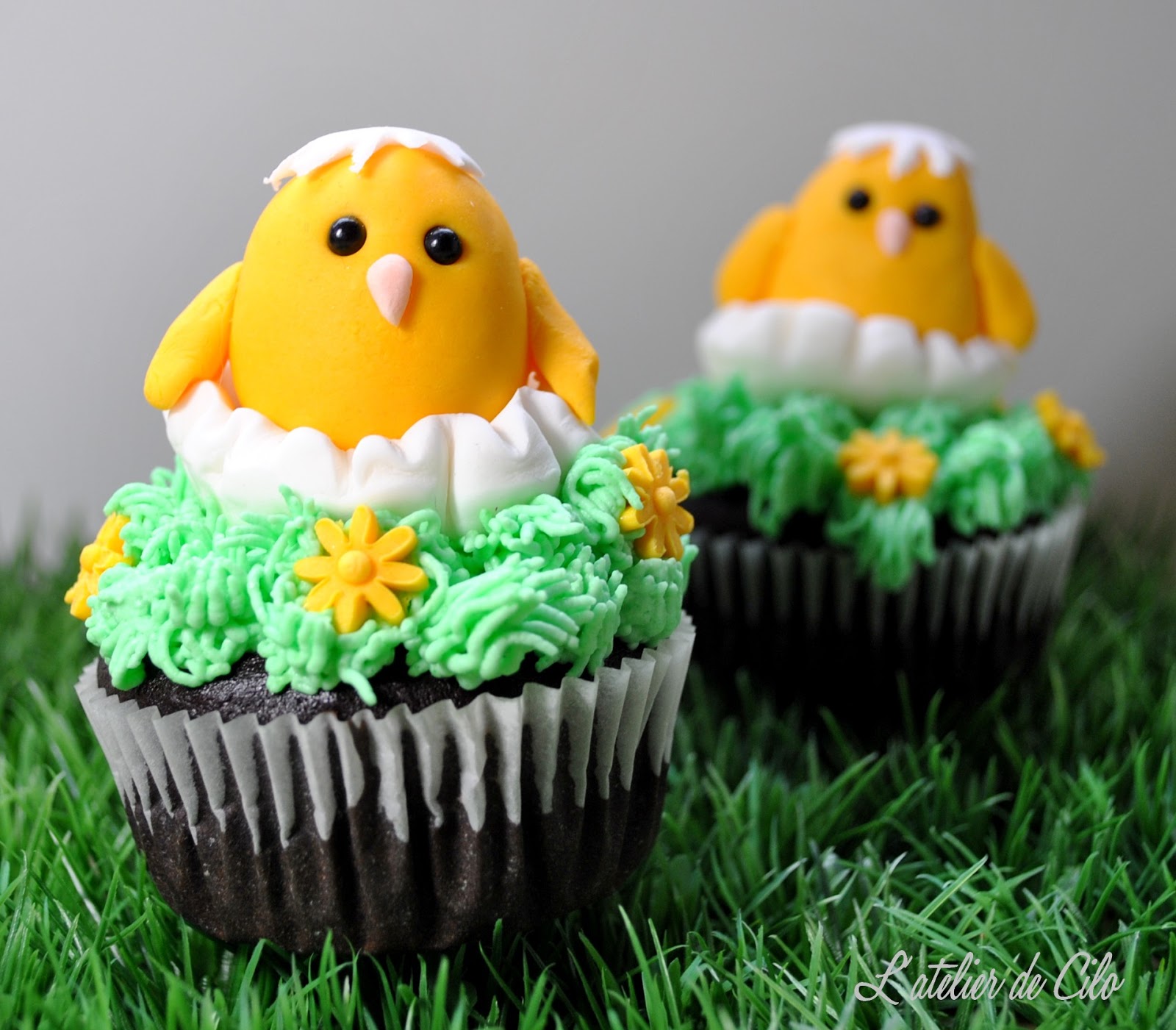 L'atelier de Cilo: Recette cupcakes au cacao et topping chantilly au ...