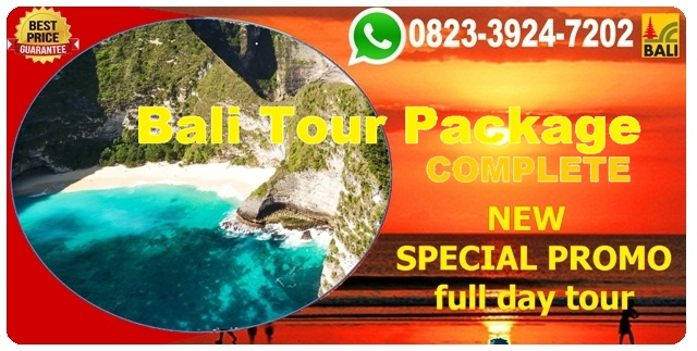 BALI LOCAL TOUR OPERATORS - NUSA PENIDA TOUR BALI