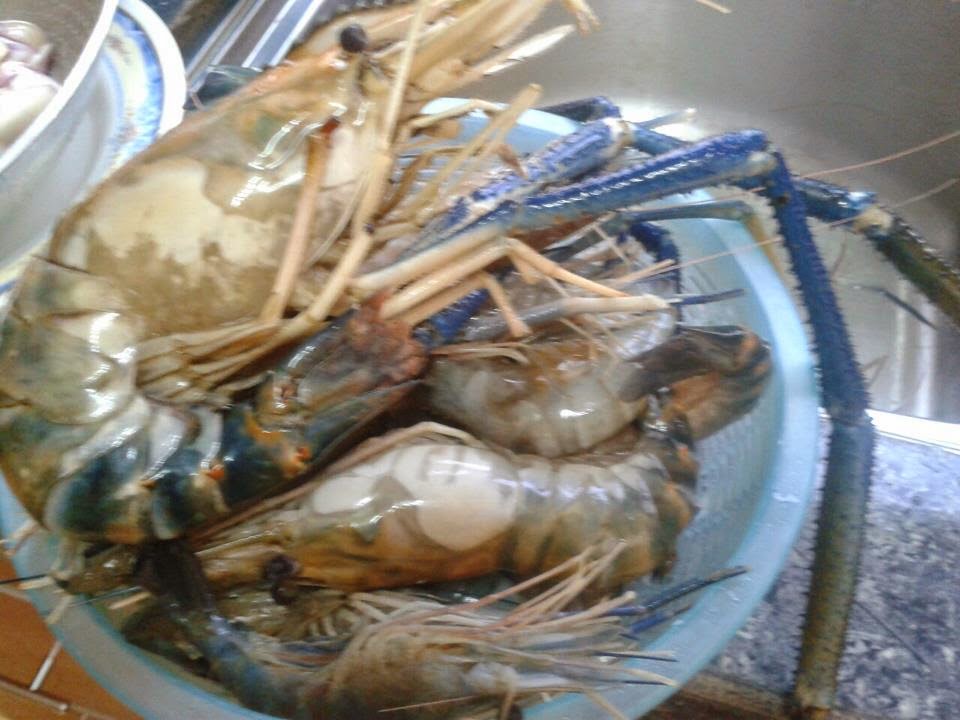 Cara Memancing Udang Galah | Myrodreel