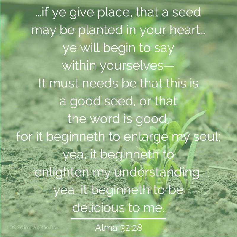 LDS Scripture of the Day: Alma 32:28