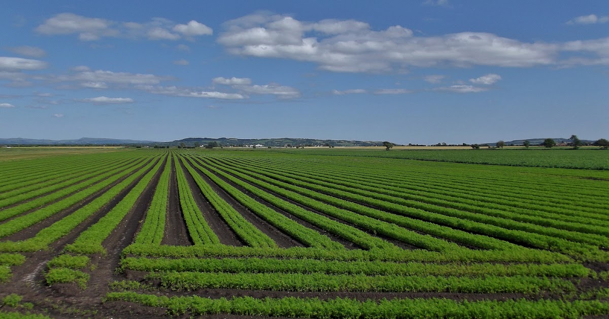 Land Suitability Evaluation for Agricultural Cropland in Mongolia Using ...