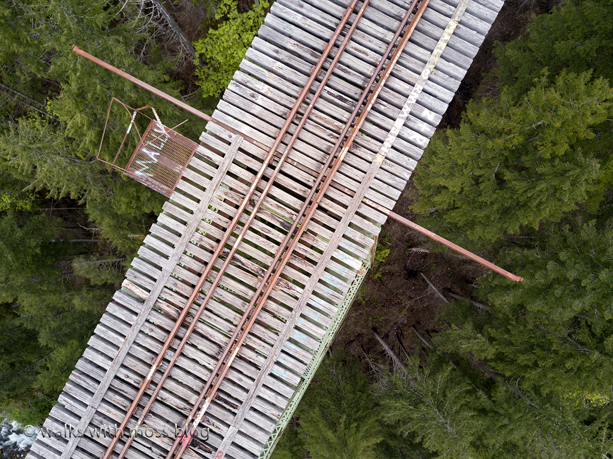Walks with Moss: Upper South Fork Skokomish