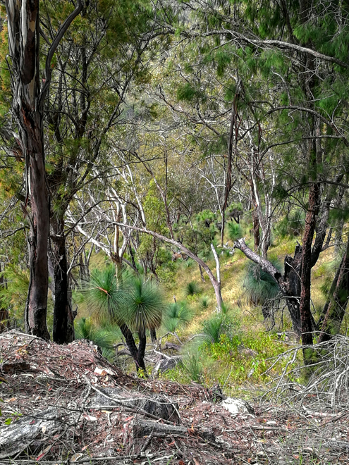 Back Country Roads: The Green Gully Track - 4 day hike.