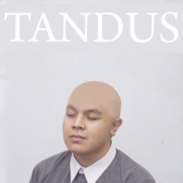 Kumpulan Meme Lucu COVER Album TULUS Yang Bikin Ngakak! | Ramai Berita