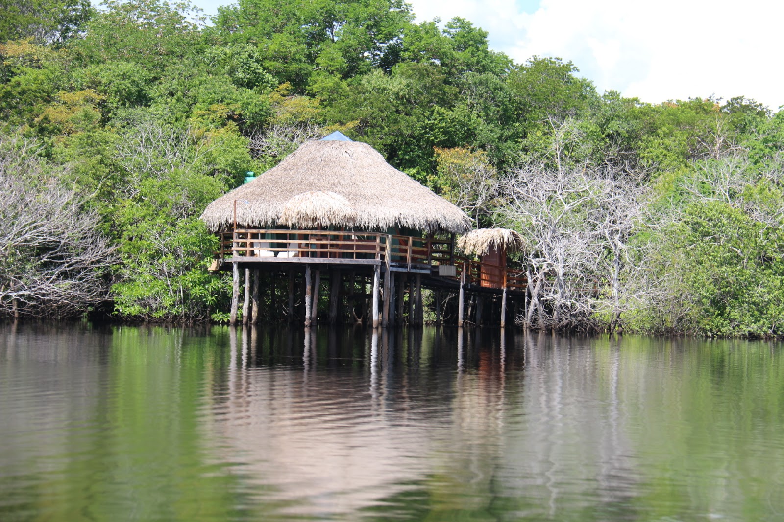 Juma Amazon Lodge: a primeira vez na Floresta Amazônica a gente nunca ...