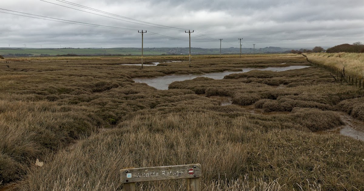 North Devon Coast and Country Chronicle: Tarka Tales. Meandering beside ...