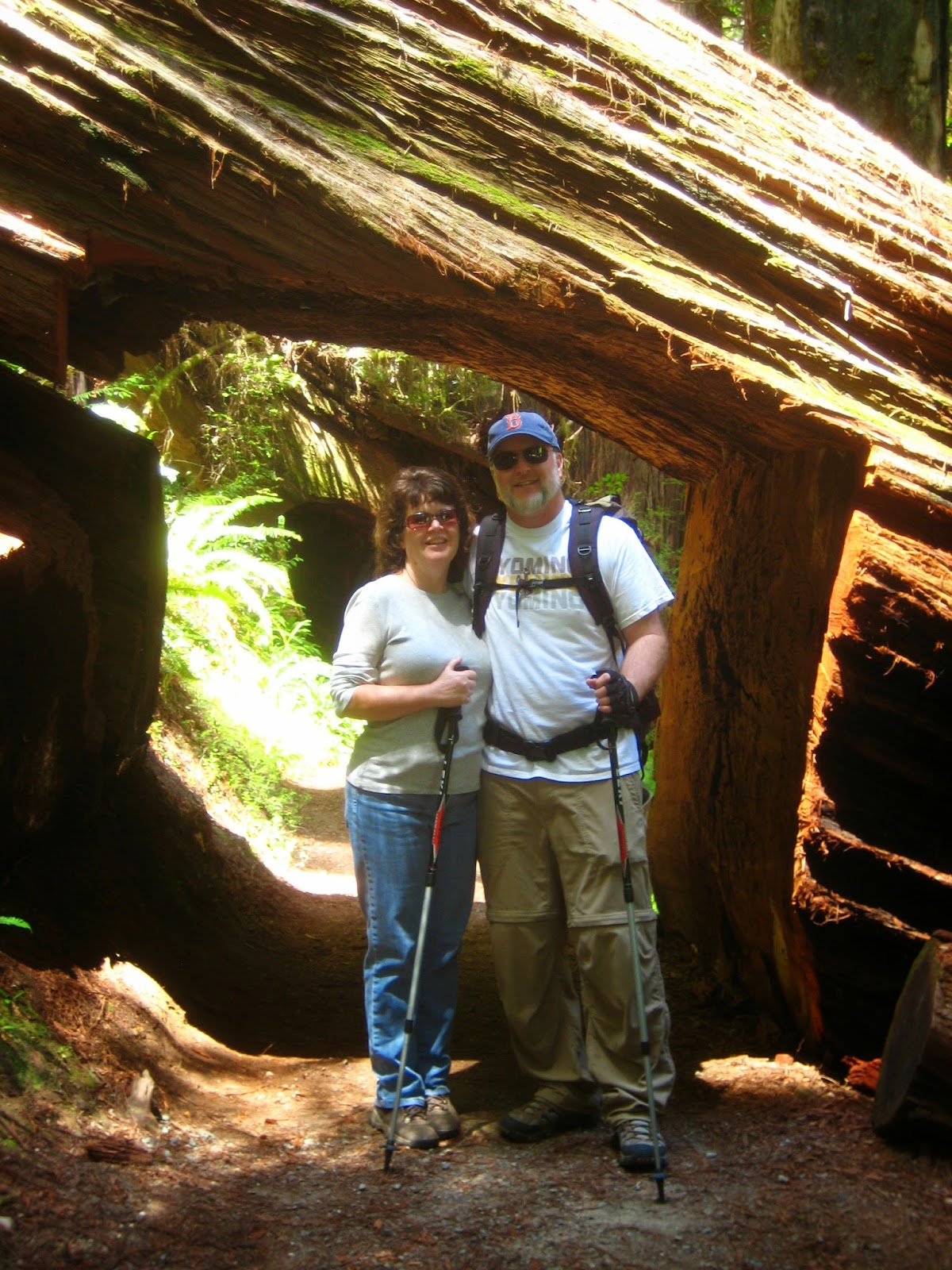 Glenn & Carol's Hiking Adventures: Big Tree Loop Trail