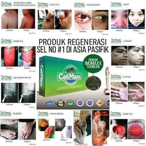 CELLMAXX: OBAT CELLMAXX
