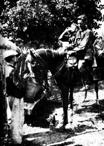 Dachau KZ: Barbarossa The Waffen SS on the Eastern Front PICTORIAL ...