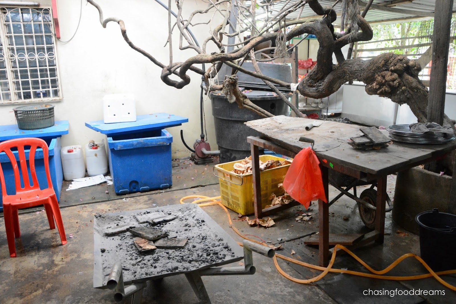 CHASING FOOD DREAMS: New Beggar's Delicious Restaurant @ Ijok