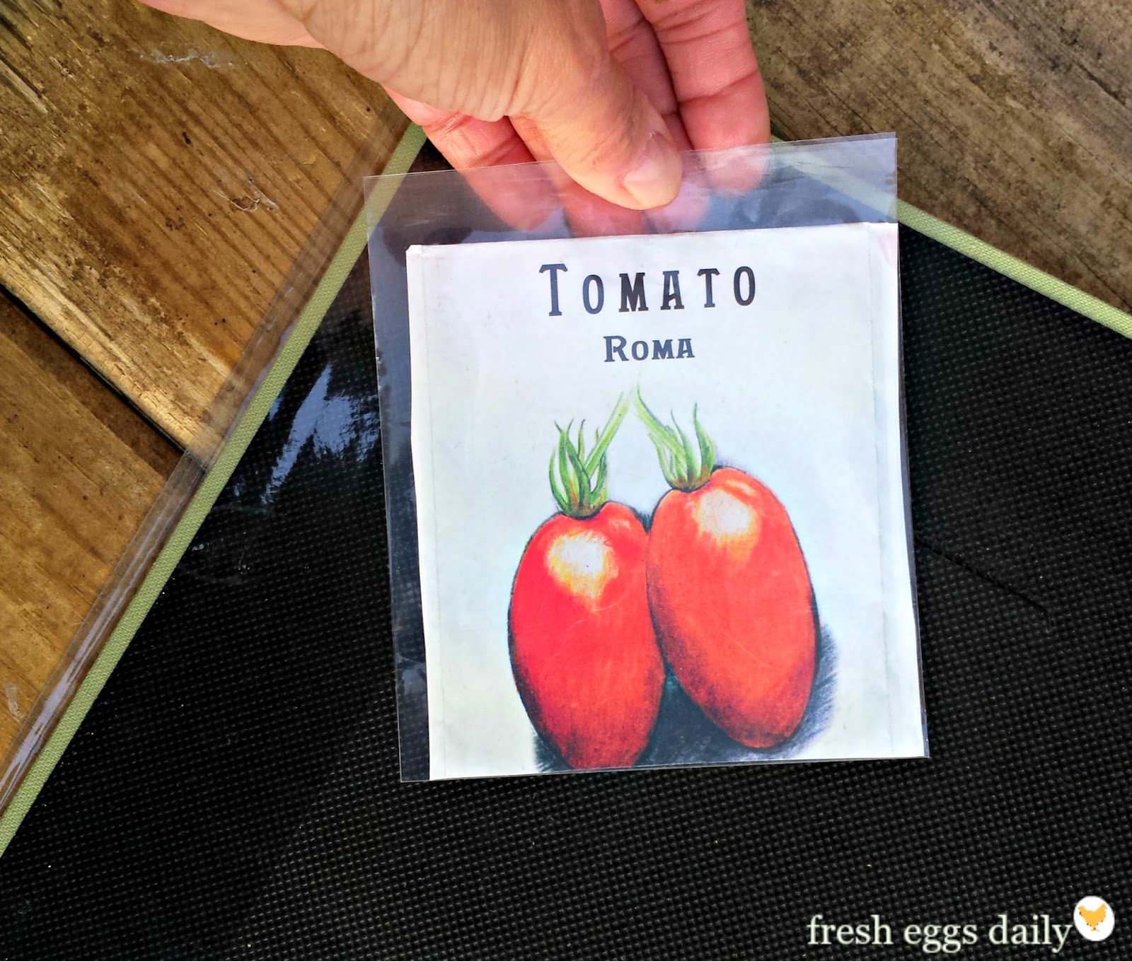 DIY Photo Album Seed Organizer - Fresh Eggs Daily® with Lisa Steele