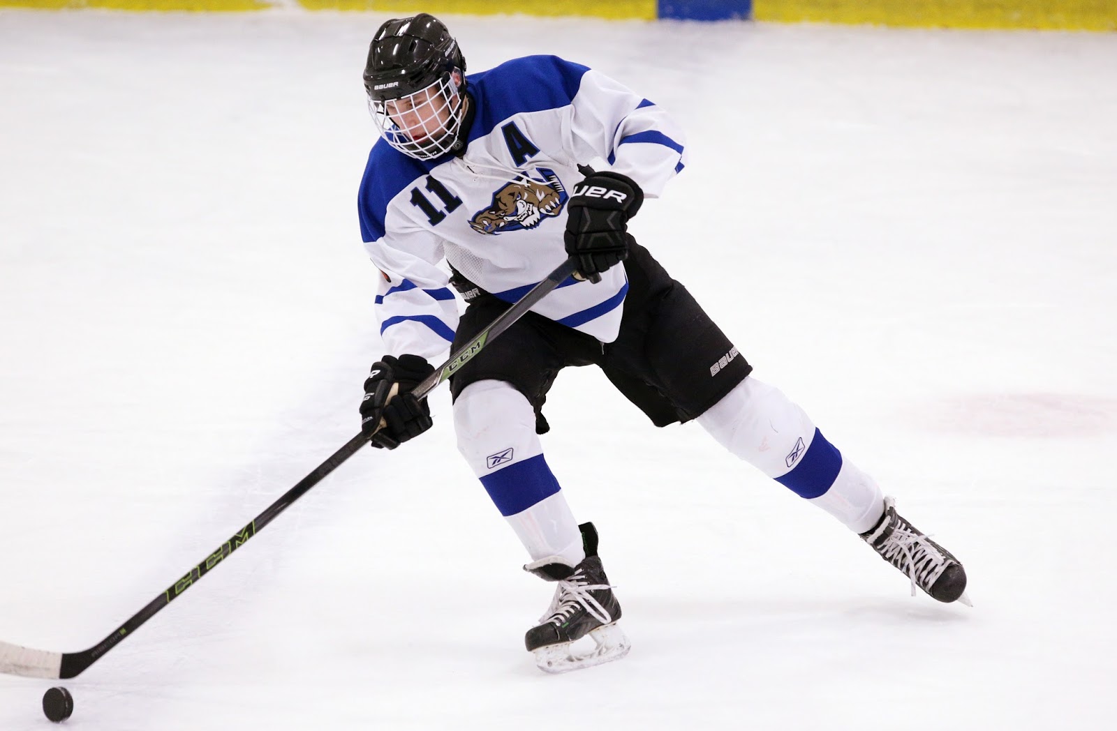 Mark Kodiak Ukena: Boys Hockey State Playoffs: U-46 Rampage vs LHS/VHHS ...