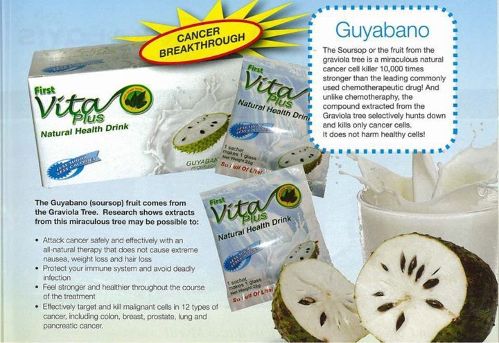 The Healthy Gems: First Vita Plus in Guyabano, Dalandan and Melon