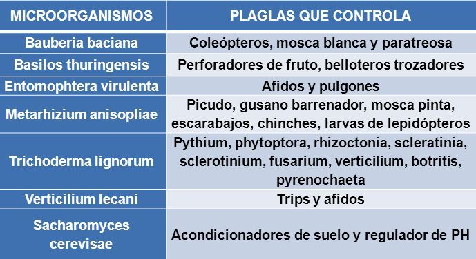 humushunov: Humus HunoV