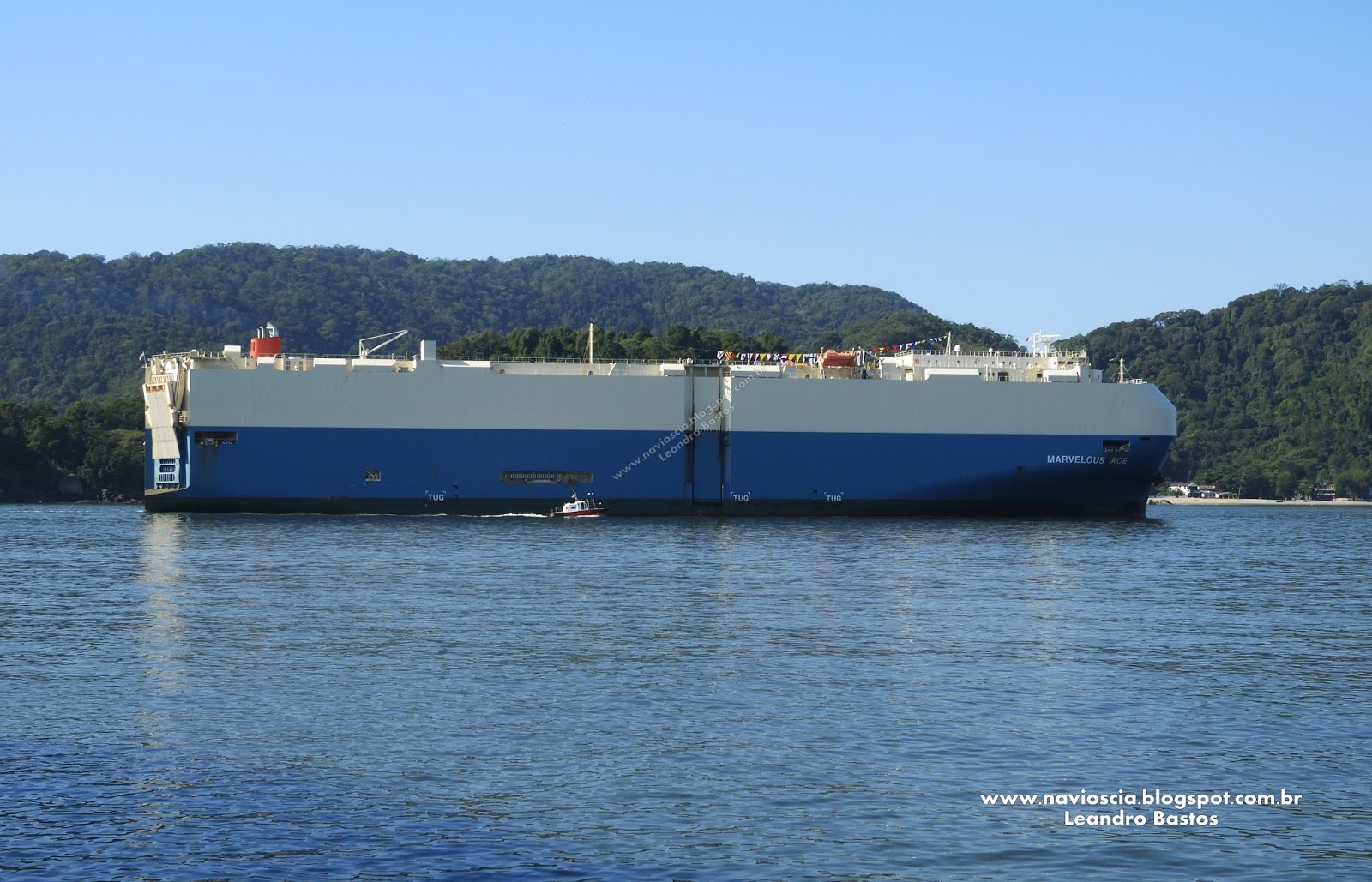 Navios de Santos & CIA: Navio MARVELOUS ACE