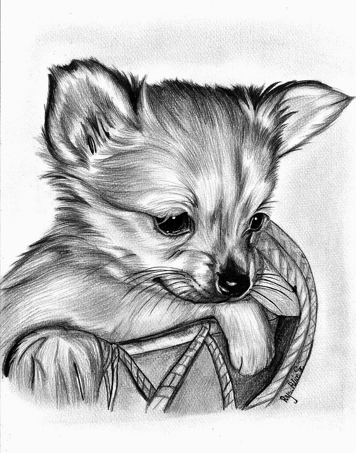 Alice draws-" Alicja w krainie rysunku ": " Etapy powstawania rysunku ...