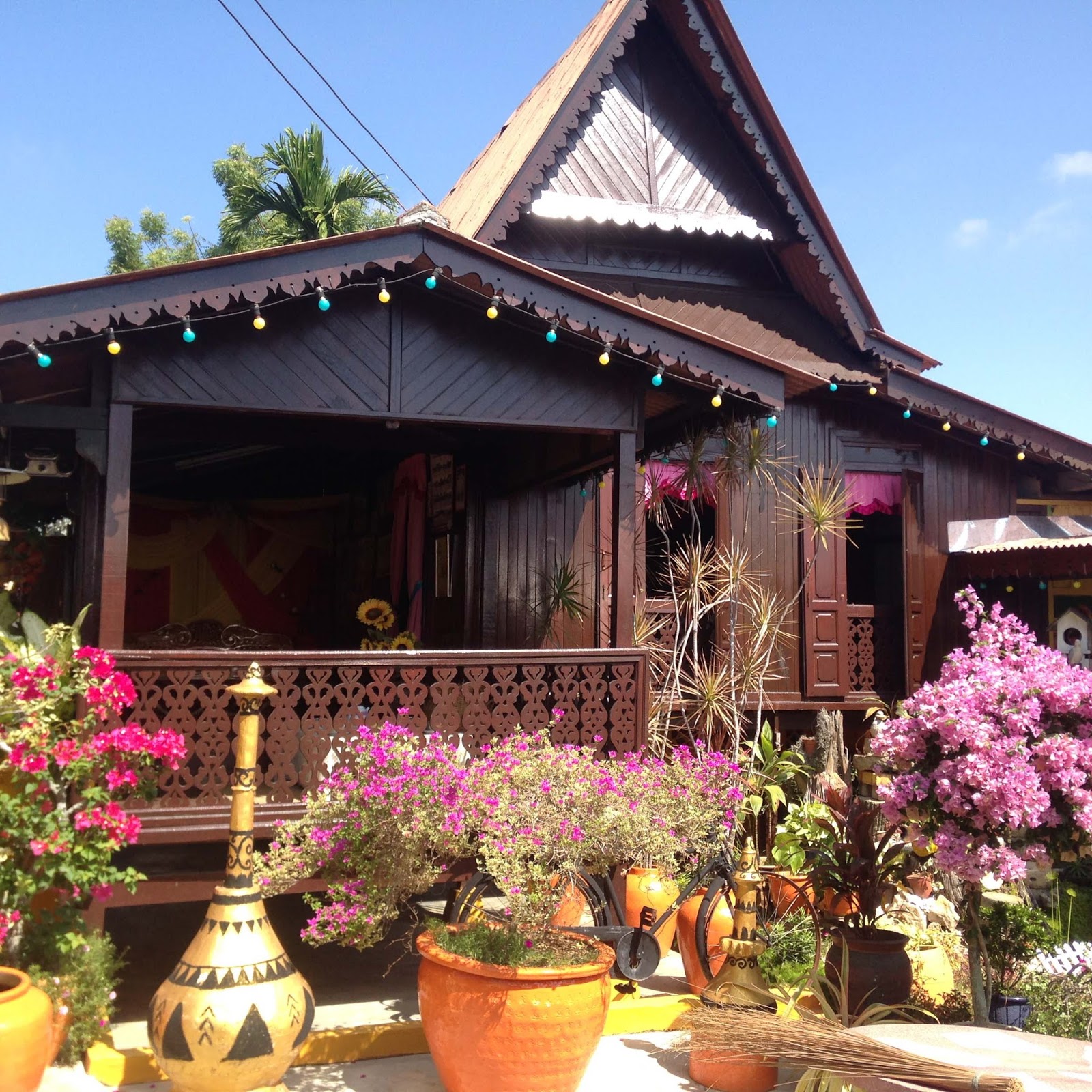 The Enes Family Adventures