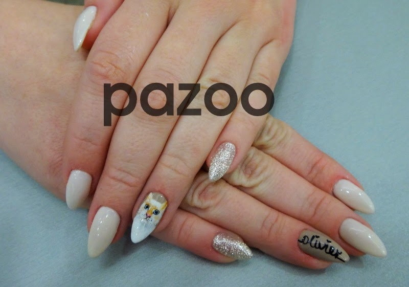 PAZOO BLOG: grudnia 2014