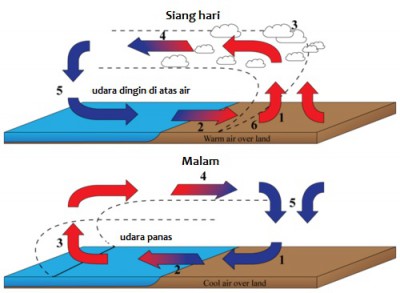 Mengapa Bisa Ada Angin? - DuTek
