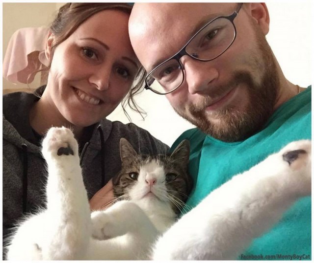 [ADORABLE] Gatito especial con síndrome de Down arrasa en Internet y ...