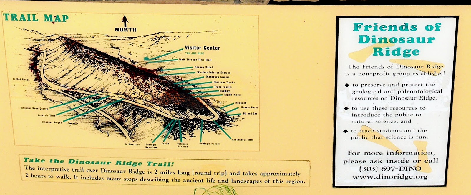 Mille Fiori Favoriti: Dinosaur Ridge