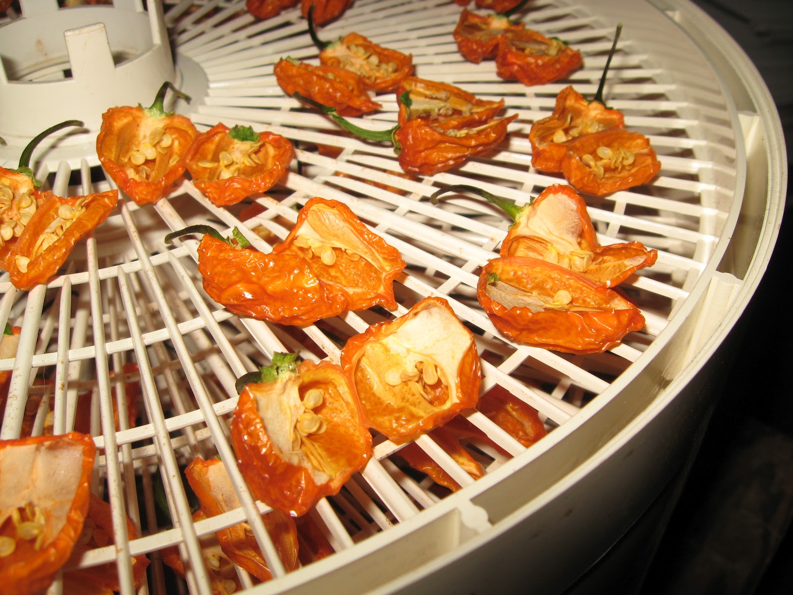 Extreme Hot Peppers