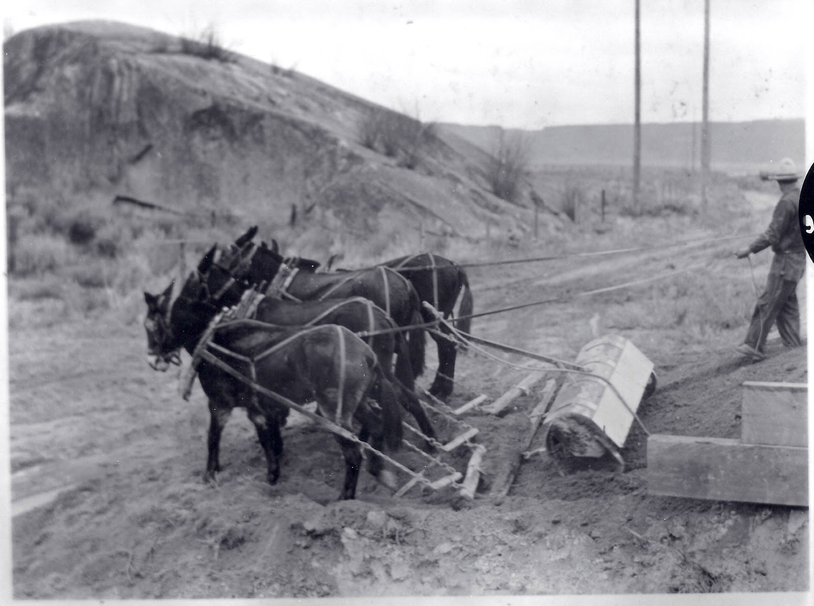 Big Bend Railroad History: US Construction Railroad Mule Power