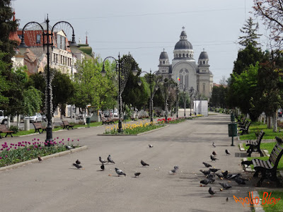 Apollo Blog: Targu Mures