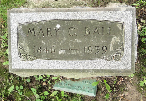 Reflections From the Fence: July 2012