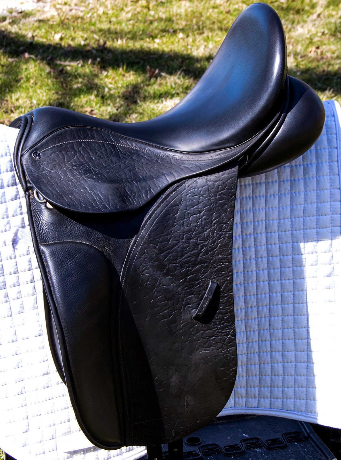 Princess Diva Diaries and A Thoroughbred: County Connection Dressage ...