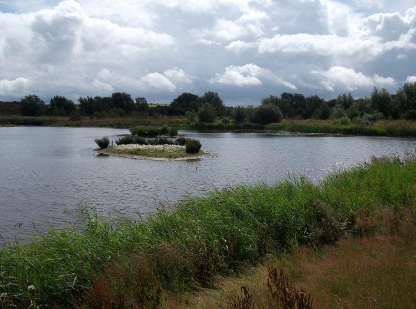 Vinnyman's Birding and Nature Blog.: Middleton Lakes RSPB Nature ...