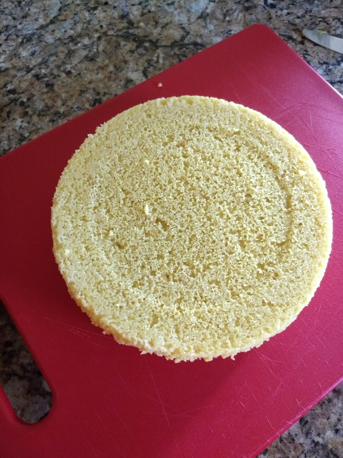 Meri Rasoi: Instant Khaman Dhokla (steamed using Instant POT)