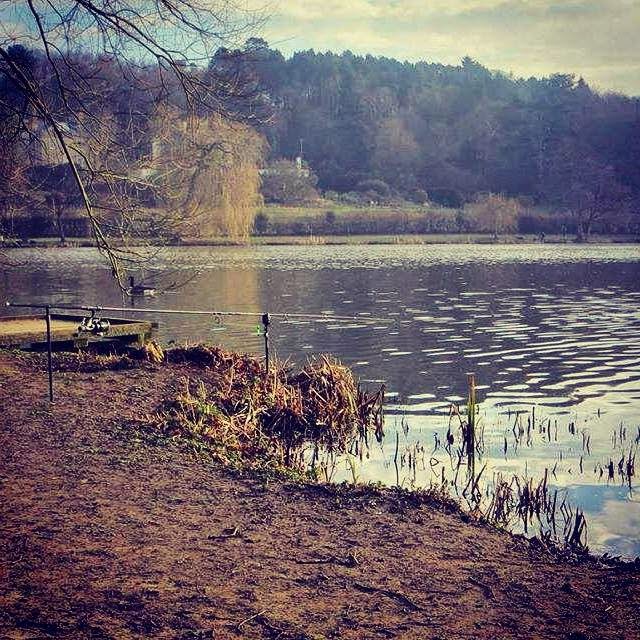 Fish Hooked: Zander Fishing, Old Bury Hill Lake