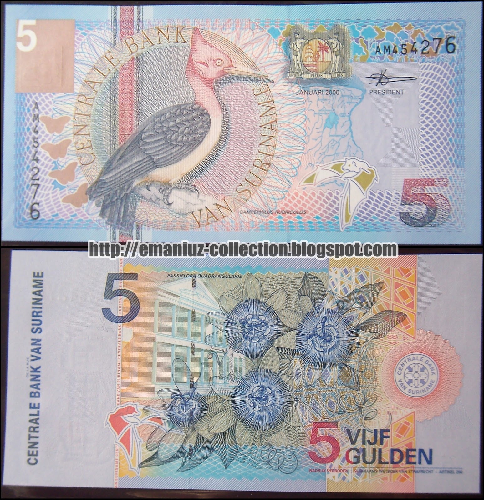 Banknote of Suriname | 2000 Birds Issue (5 & 10 Gulden) | Emaniuz ...