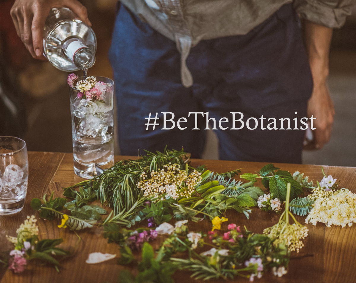 The Botanist Teaches Us Infinite Ways to Enjoy Gin #BeTheBotanist ...