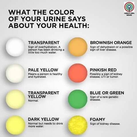 Top Tips About Health: What The Colour Of Your Urine Signifies?