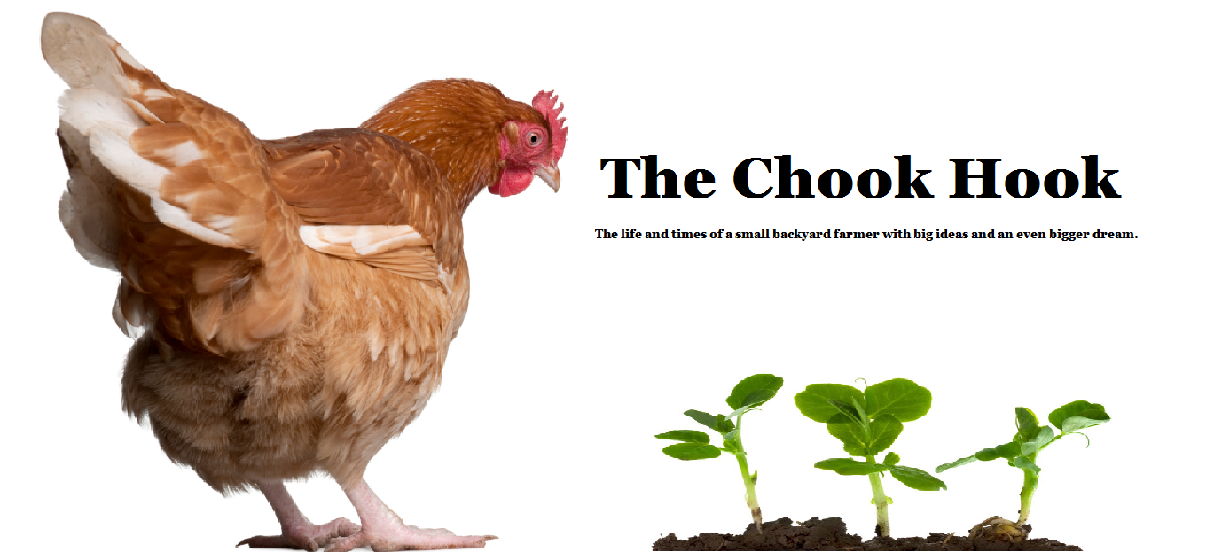 The Chook Hook: 2016