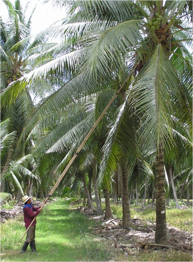 Talking about Passions