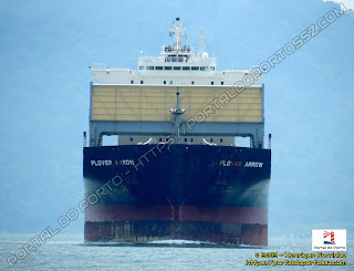 Plover Arrow - Portal do Porto