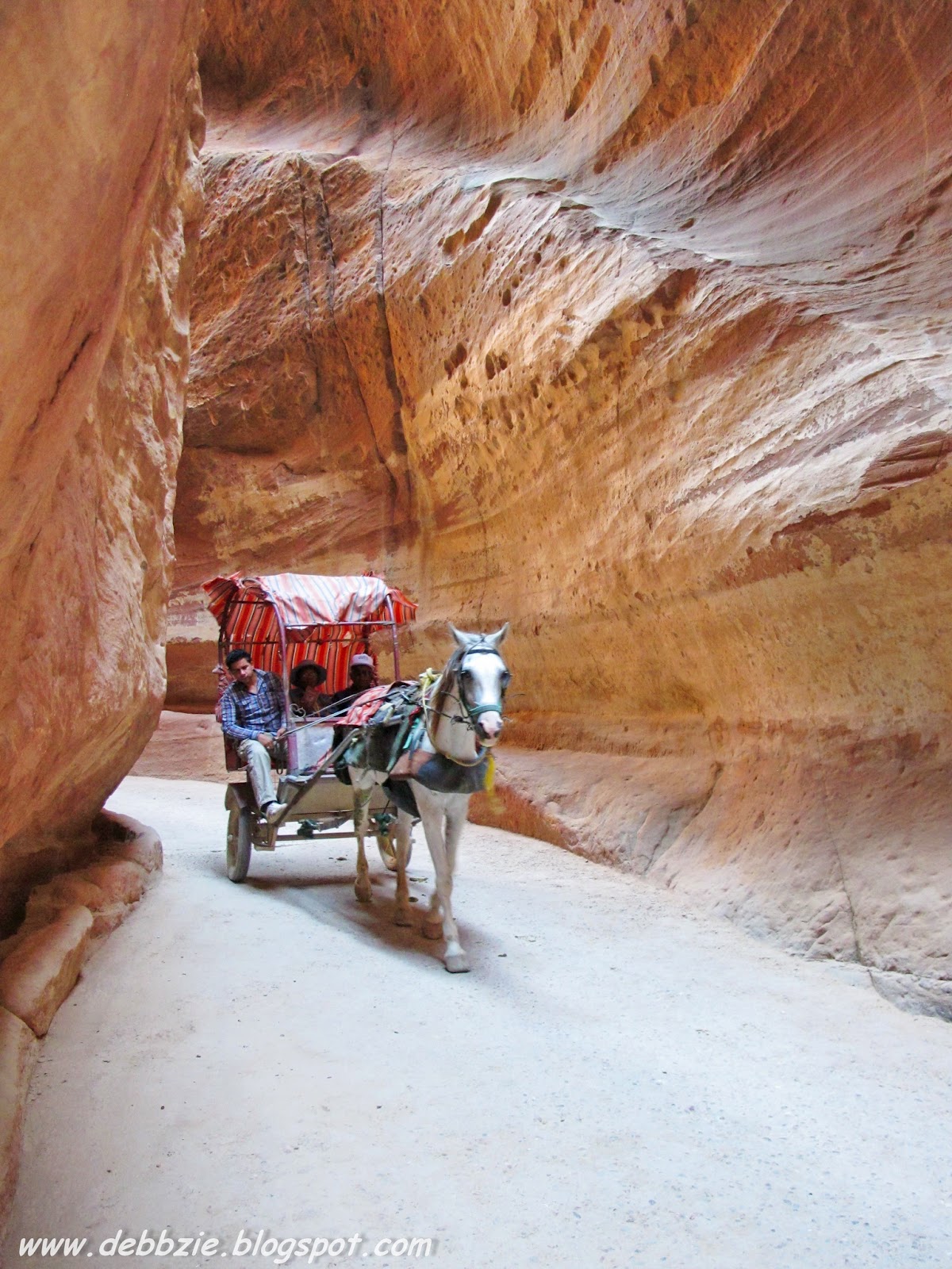 My Time Capsule: Jordan: Petra the Rose - Red City