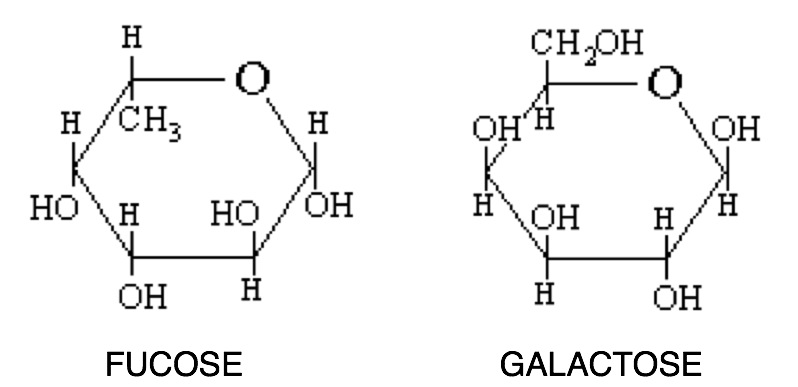 Mundo da Bioquímica (blog sobre bioquímica): 2017