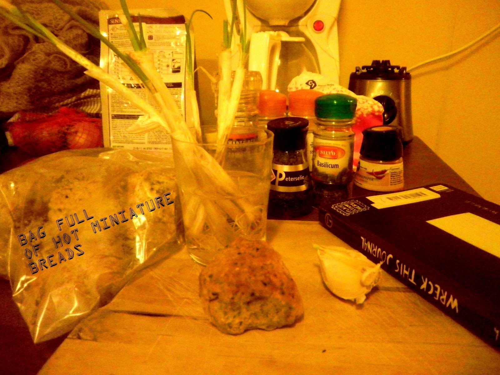 the seed that almost had a burnout: Introduction and the Hot Miniature ...