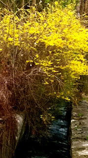 Billie's Blog: All Things Yellow...