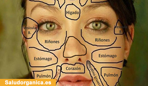 Como leer el rostro: Mapa de la cara revela cuando un órgano del cuerpo ...