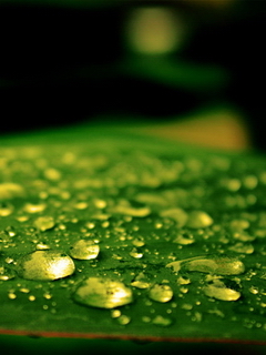 Touch Screen Wallpapers Free Download - Planet Wallpapers